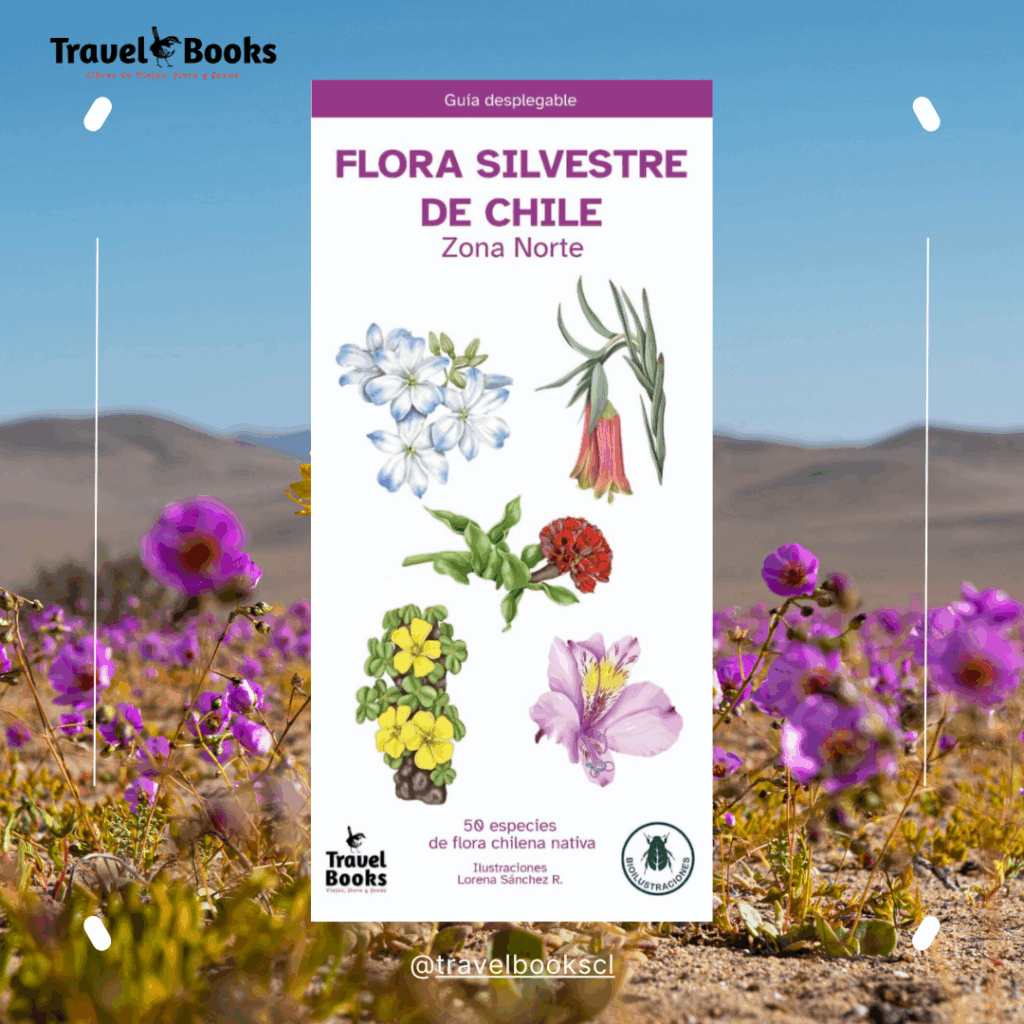 FLORA SILVESTRE DE CHILE ZONA NORTE DESPLEGABLE – Travelbooks ...