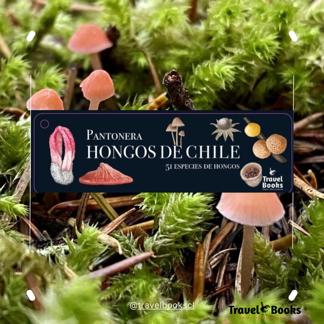 Pantonera – Hongos de Chile – Travelbooks – Libreria de Viajes, Flora ...